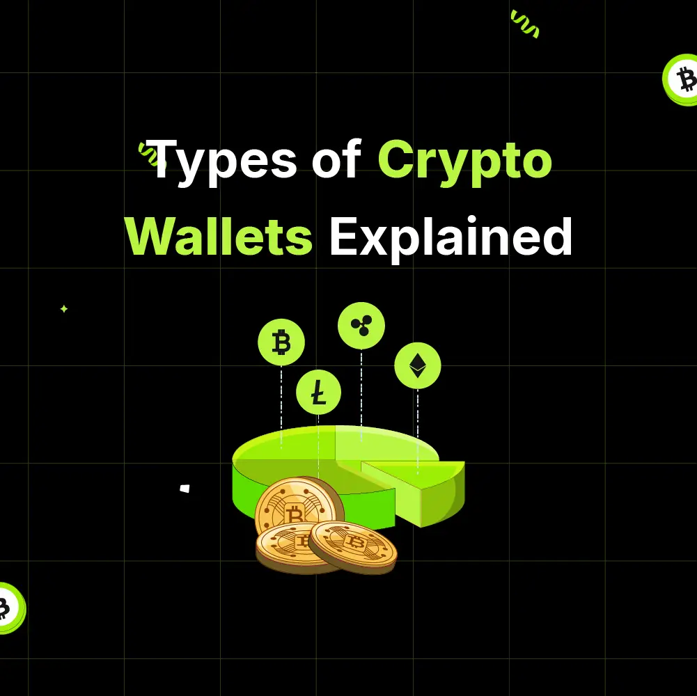 Types of Crypto Wallets Explained | Bitunix