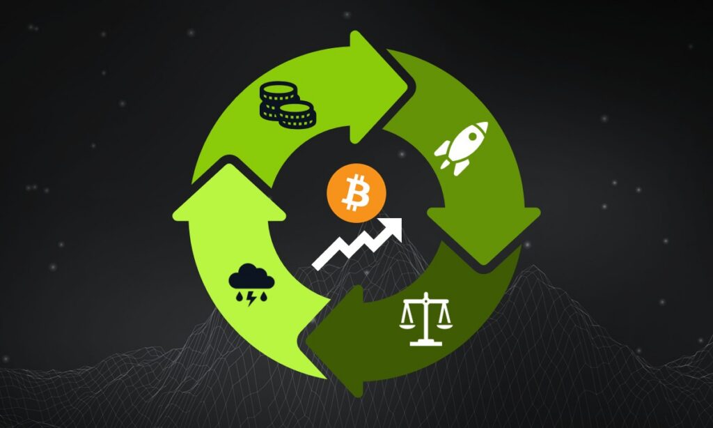 Crypto Market Cycle: 4 Phases and How to Trade Them